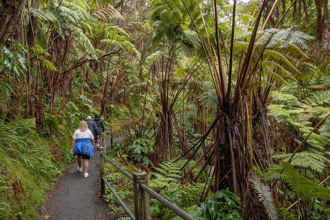 Private - All Inclusive Hawai'i Volcanoes National Park Tour - FAQ