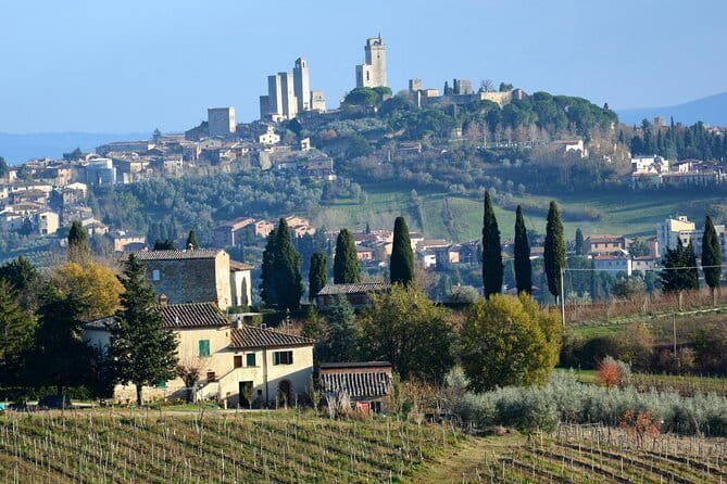 Private All-inclusive Heart of Florence Walking Tour with Accademia and Uffizi - FAQ