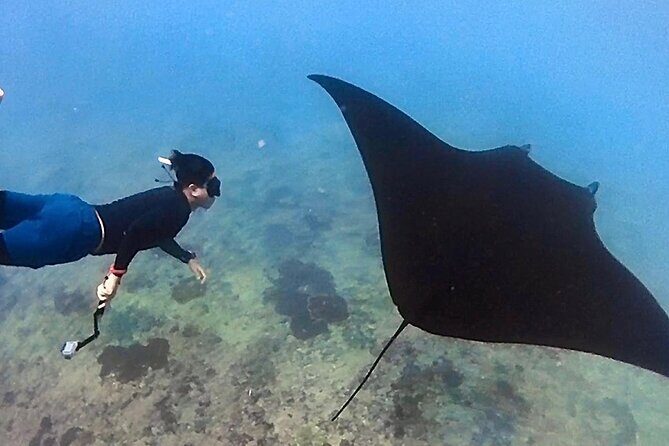 Private All Inclusive Nusa Penida Snorkeling and Tour - The Logistics: How the Day Unfolds