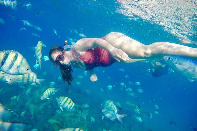 Private all-inclusive snorkeling at sosua beach. - Why This Tour Is a Good Fit