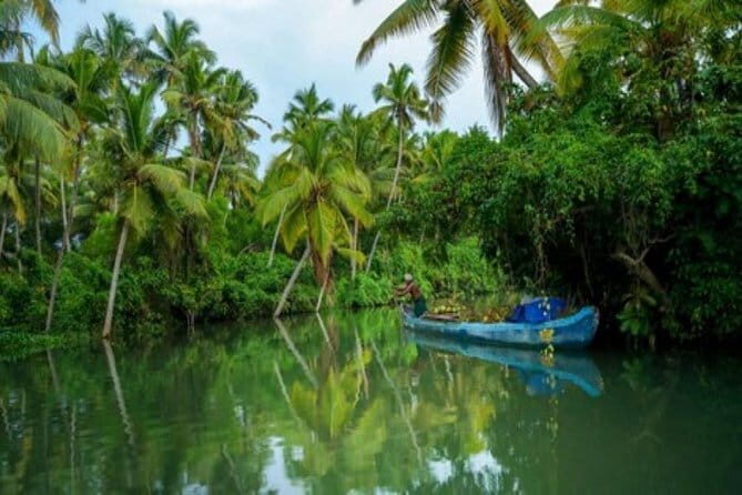 Private Alleppey Backwater Houseboat Day Cruise including Lunch - Authentic Insights from Reviews