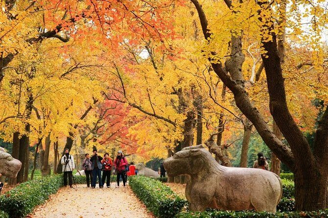 Private Amazing Nanjing City Day Tour in Your Way - Key Points