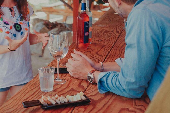 Private and custom group Wine tour Valle de Guadalupe - A Deep Dive into the Itinerary
