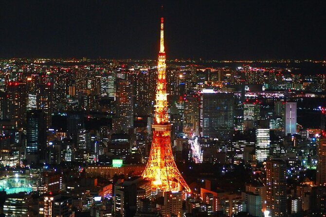 Private and Customisable Tokyo Tour with English Driver-guide - Who Is This Tour Best For?