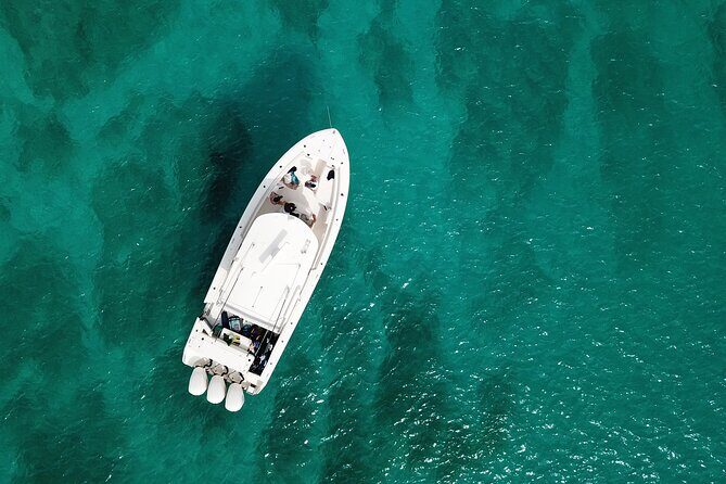 Private and Customizable Half day Boat Experience to Caicos cays - An In-Depth Look at the Experience