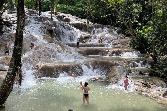 Private and Customize Tour from Montego Bay to Dunns River Falls - Comprehensive Review of the Private and Customize Tour from Montego Bay to Dunns River Falls