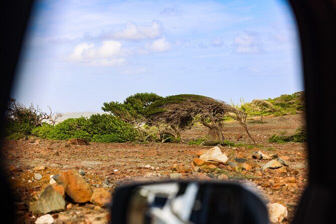 Private and Customized Aruba 4X4 Jeep Adventure - An in-Depth Look at the Aruba 4X4 Jeep Adventure