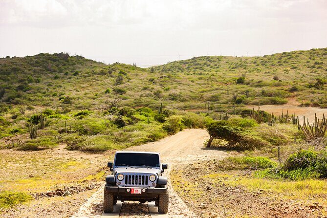Private and Customized Aruba 4X4 Jeep Adventure - Final Thoughts: Who Should Sign Up?