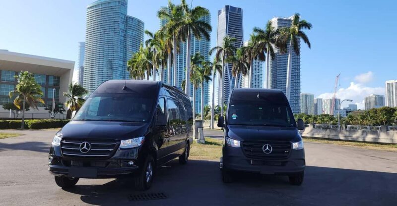 Private and group Transporation services - Who Is This Service Best Suited For?