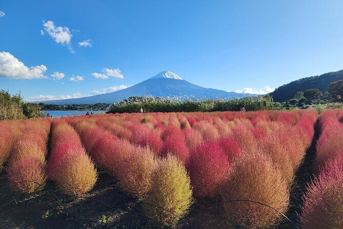 Private and Multi-day Tokyo, Mt. Fuji & Lake Kawaguchi Adventures - Authenticity and Local Flavor