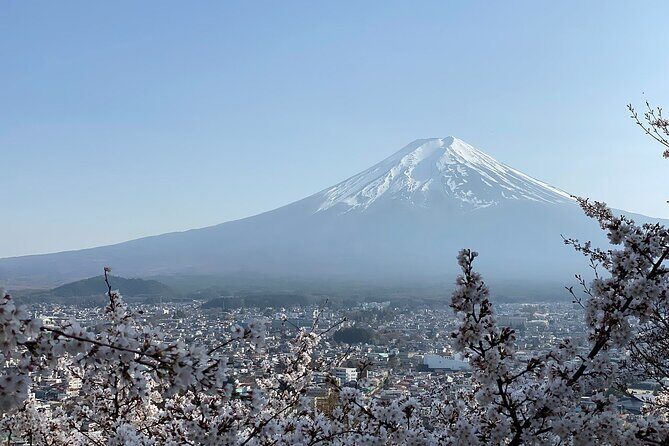 Private and Multi-day Tokyo, Mt. Fuji & Lake Kawaguchi Adventures - Reviews and Feedback