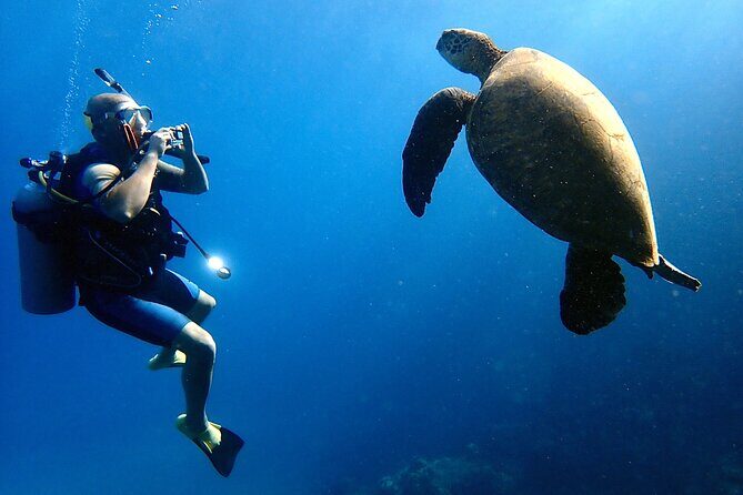 Private and Personalized Scuba Diving Adventures for All Experience Levels - Key Points
