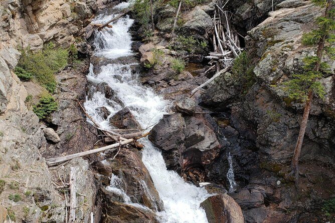 Private and Personalized Three Hour Morning Tour of Rocky Mountain National Park - What Travelers Say