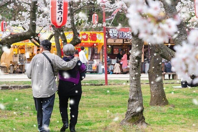 Private and Unique Fukuoka Cherry Blossom Sakura Experience - Key Points