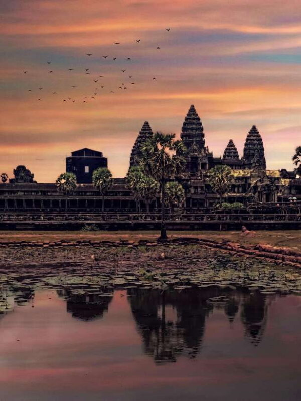 Private Angkor Park Guided Tour (Must-Visit Temples) - The Sum Up
