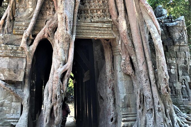 Private Angkor Tour - What Makes This Tour Stand Out?