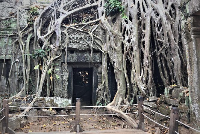 Private Angkor Wat sunrise Bayon Ta Prohm private from Siem Reap - The Sunrise at Angkor Wat: An Unforgettable Start