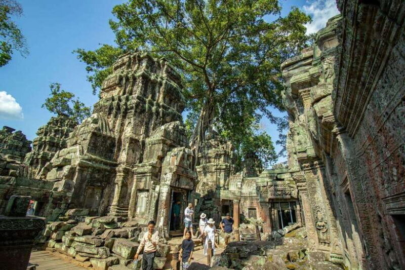 Private Angkor Wat Sunrise Tour with Breakfast - Breakfast and the Jungle-Entwined Ta Prohm