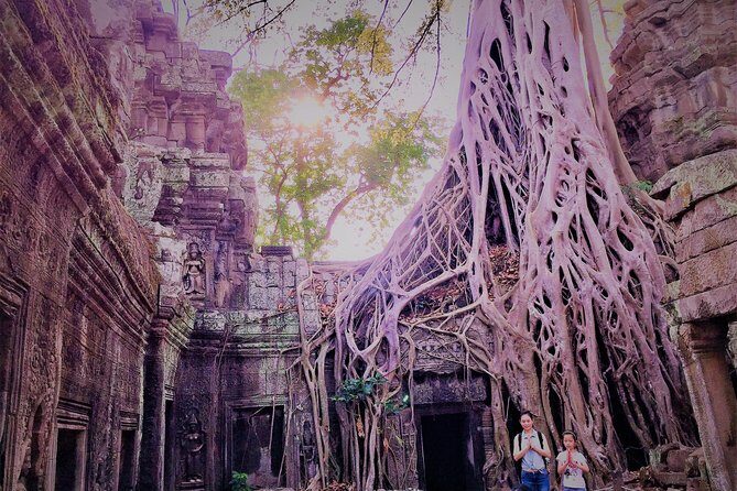 Private Angkor Wat Sunrise VIP by Jeep - An In-Depth Look at the Tour Experience
