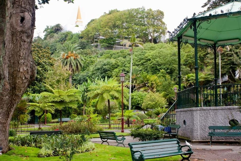 Private Angra do Heroísmo: Walking CityTour with Tasting - In-Depth Look at the Tour Experience