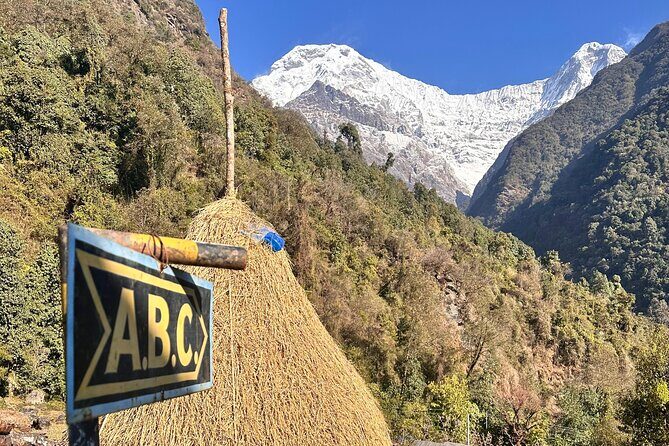 Private Annapurna Base Camp Trek - Authentic Feedback from a Recent Traveler