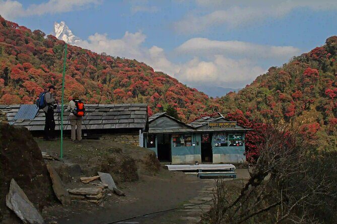 Private Annapurna Base Camp Trek - Day 6: Back to Pokhara