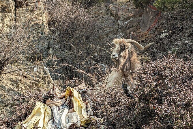 Private Annapurna Circuit Trek - Pricing and Value