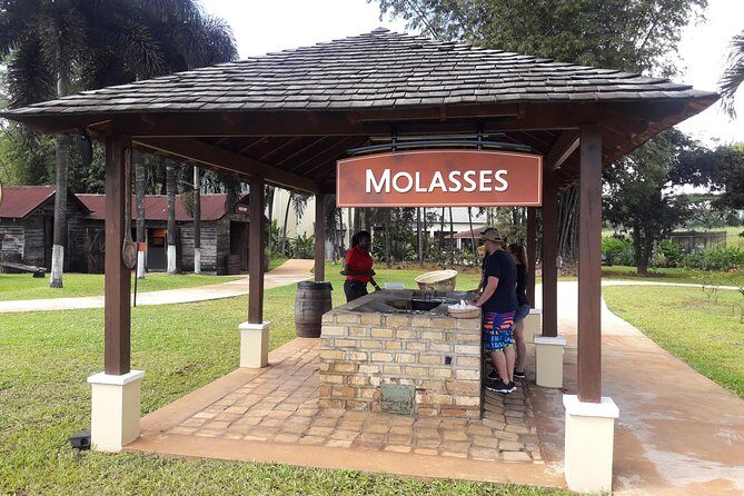 Private Appleton Estate Rum and Pelican Bar Tour from Montego Bay - A Closer Look at the Tour Experience