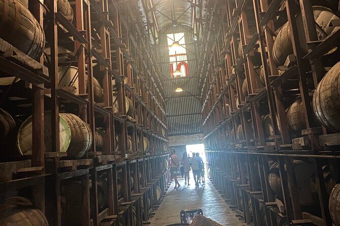 Private Appleton Estate Rum Tour with Limestone Massage, Rafting - Introduction