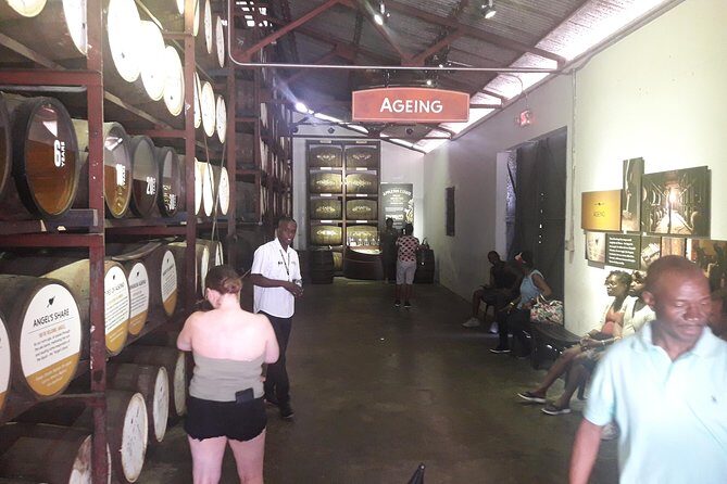 Private Appleton Estate Rum & YS Falls Tour from Montego Bay - An In-Depth Look at the Tour Experience