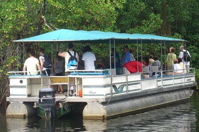 Private Appleton YS Falls and Black River Tour from Montego Bay - An In-Depth Look at the Tour