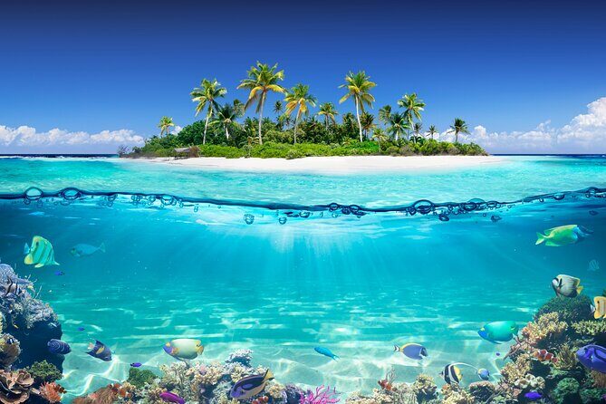 Private Aquafari Tour in Curaçao from Willemstad - Authentic Experiences and Traveler Insights