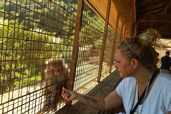 Private Arashiyama Tenryuji Temple Bamboo Grove and Monkeys Tour - The Itinerary in Detail