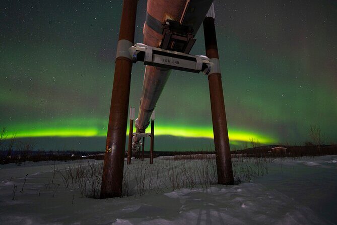 Private Arctic Circle Expedition from Fairbanks - The Experience: From Comfort to Adventure