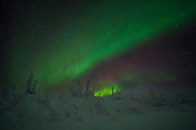 Private Arctic Circle Expedition from Fairbanks - Who Should Consider This Tour?