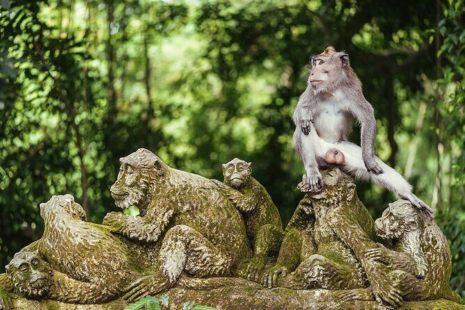 Private Arrival Transfer: Bali Airport to Hotel with Minibus Toyota HiAce up to 12 Pax - An In-Depth Look at the Transfer Experience