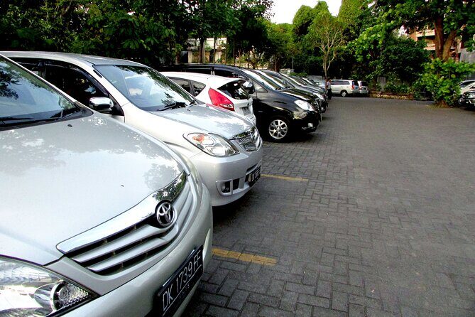 Private Arrival Transfer: Bali Airport to Ubud Area - Transport and Logistics: The Small Details