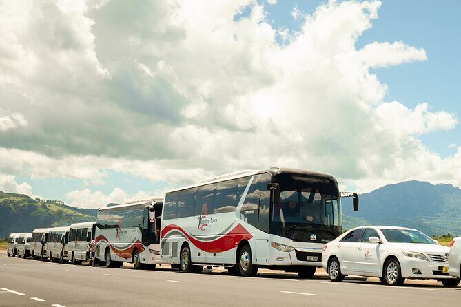 Private Arrival Transfer from Nadi Airport to Marriott Momi Bay Resort - Practical Details and Considerations