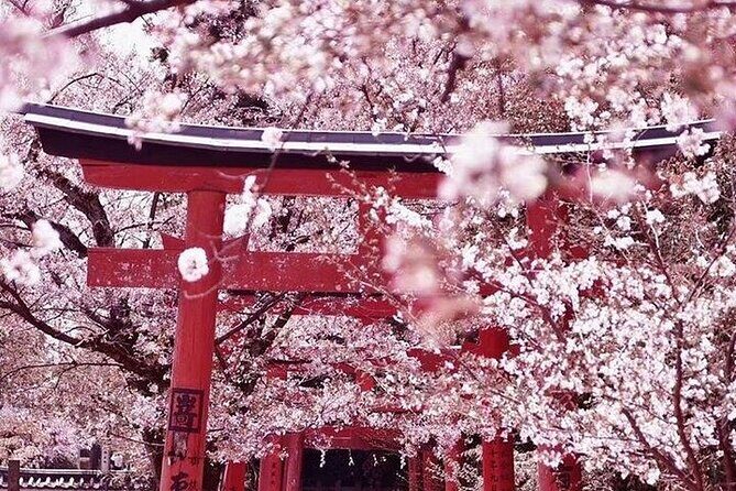 Private arrival transfer from Osaka Itami International airport to Kyoto City - The Sum Up: Is This Transfer Right for You?