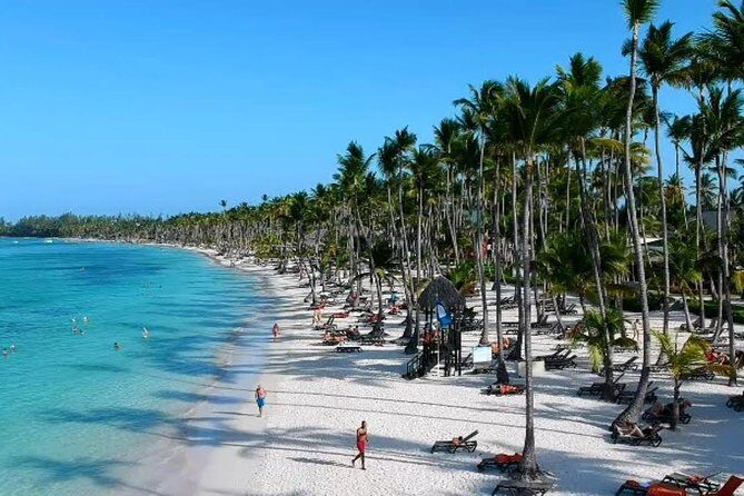 Private Arrival Transfer from Punta Cana airport (PUJ) to Punta Cana - Authentic Experiences and Traveler Perspectives