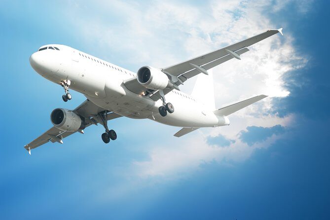 Private Arrival Transfer: Palermo Airport to Palermo Hotel - The Booking Process and Customer Feedback