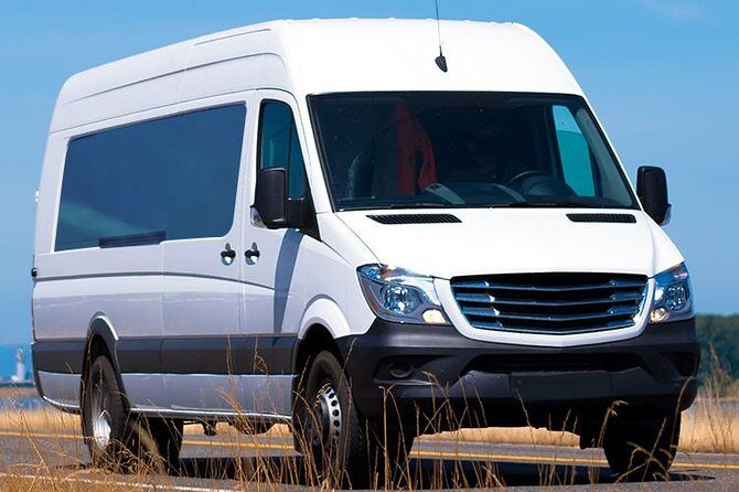 Private Arrival Transfer Puerto Plata International Airport(7-14) - What makes this transfer stand out?