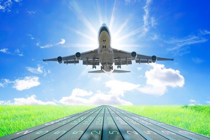 Private Arrival Transfer: Tan Son Nhat Airport to Ho Chi Minh City Hotels - Easy, Stress-Free Booking and Confirmation