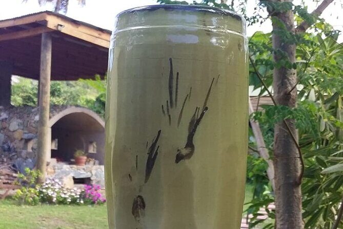 Private Art & Culture Tour in Tortola Virgin Islands - Who Will Love This Tour?