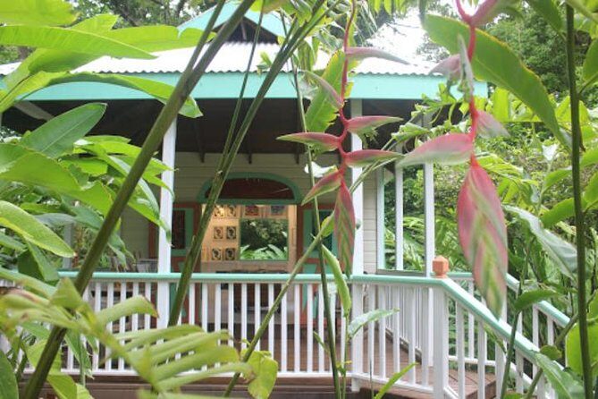 Private Art Tour or Food Tour - Introduction