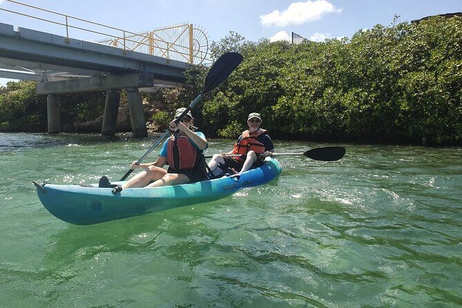 Private Aruba Kayak & Snorkeling Tour + Transortation - The Sum Up