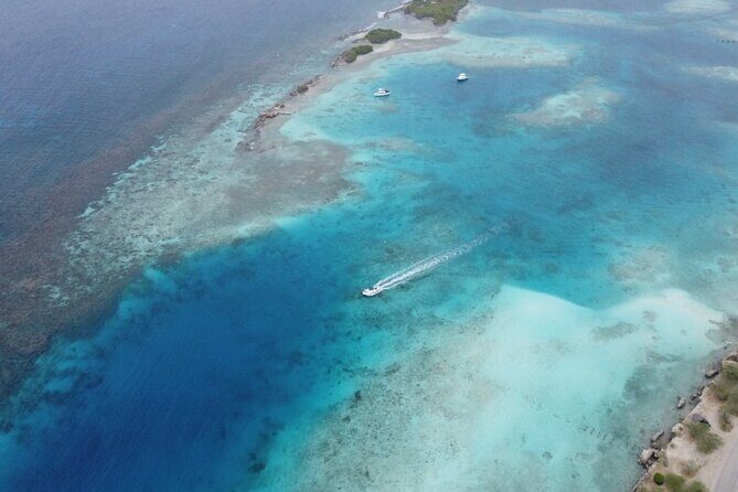 Private Aruba Kayak & Snorkeling Tour + Transortation - FAQ