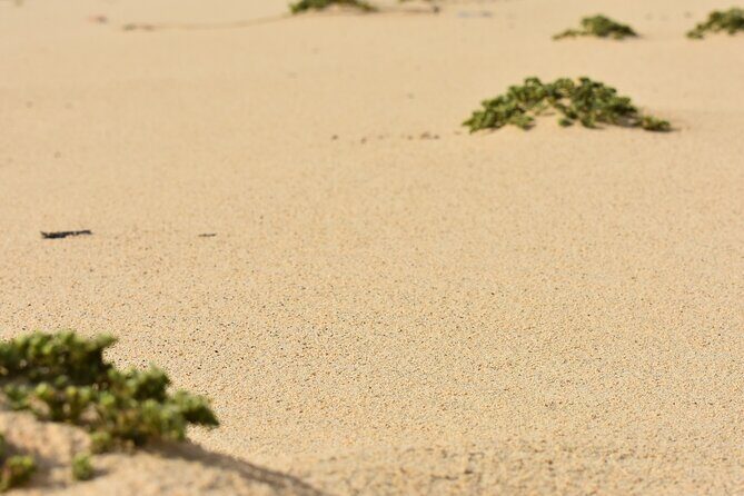 Private Aruba National Park Hiking & Natural Pool Swimming - Cancellation & Booking