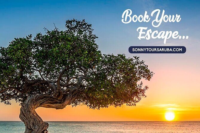 Private Aruba roundtrip airport transfer - Why Travelers Love This Service: Authentic Feedback