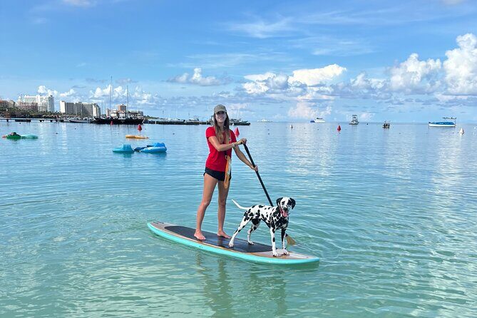 Private Aruba Stand Up Paddleboard Experience - Key Points